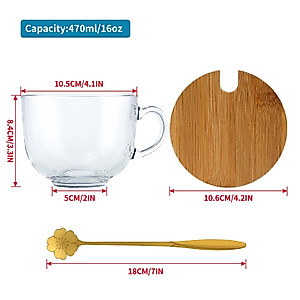MDLUU 16oz Coffee Mugs with Handle, Glass Cups with Bamboo Lids & Cherry Blossom Spoons, Clear Drinking Glasses for Tea, Cereal, Yogurt, Set of 2