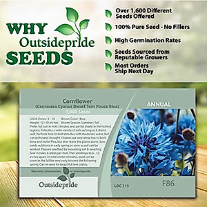 Outsidepride Centaurea Cyanus Cornflower Blue Wild Flower Seeds - 1000 Seeds