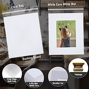 Falling in Art 25 Pack Acid-Free 16x20" White Picture Mats Board Show Kit for 11x14" Pictures, 4-Ply Beveled Precut Photo Boards with Backing Boards and Plastic Clear Bags