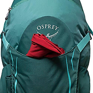Osprey Hikelite 26 Hiking Backpack , Aloe Green