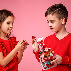 Zonon Valentine Cellophane Bags Heart Candy Treat Bag Holiday Clear Goodie Bags Party Favor Bags with 700 Pieces Twist Ties for Valentine's Day Craft Wrapping Decoration Supplies (240)