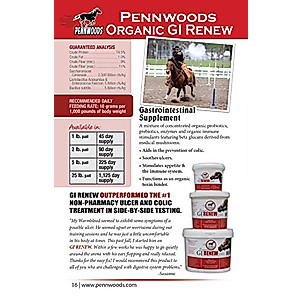 Pennwoods GI Renew, Probiotics for Equine, Immune and Appetite Stimulation, Prebiotics, Digestive Enzymes | Horse Supplement Providing Ulcer Relief and Organic Toxin Binder, 5 LB Pouch