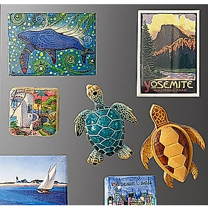 Blue Sea Turtle Fridge Magnet - Cute Coastal Beach House + Ocean Decor Magnet for Refrigerator or Metal Bulletin Board - 3 x 2 Inches, Turquoise