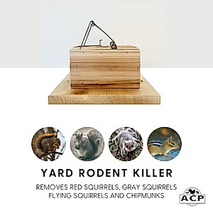 Squirrel Trapping Starter Kit for Squirrel/Chipmunk Removal in Homes Bird Feeders Attics | Little Killer Choker Style Animal Trap + Squirrel Butter + Jelly + Trail Mix Baits