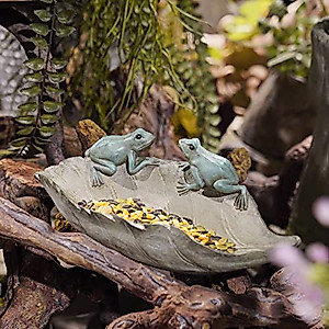 Bird-Feeder Wild Bird-Bath Bowl Outdoors - Garden Decor Polyresin Frogs on Leaf Bird Bath for Yard 12 x 7.25 x 3.5 inch-Newman House Studio