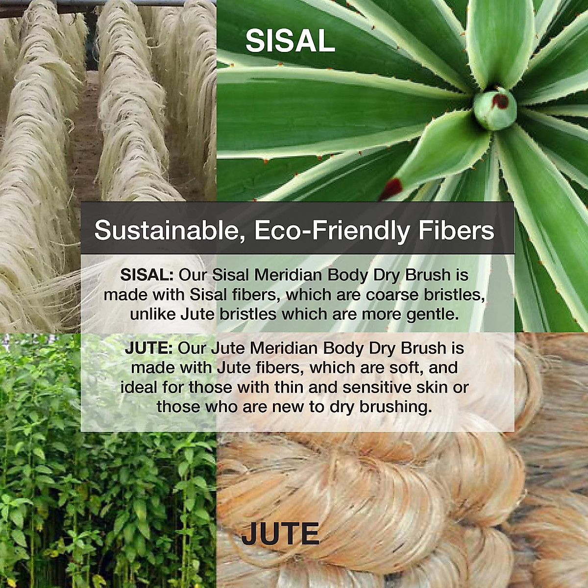 Ginger Chi Dry Brush for Skin, Dry Brushes for Body - Natural Bristle Brush for Dry Brushing Skin (Sisal Dry Brush)