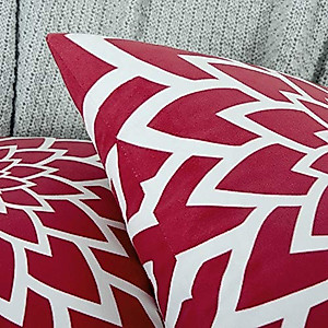 TEAGAN Throw Pillow Covers, 2PCS Cushion Covers with Flower Print, Throw Pillow Covers for Home Decorative Bedroom Living Room, Home Garden Couch Bed Sofa Chair, 20X20 Inch, Deep Red