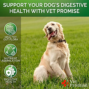 (2 Pack) Probiotics for Dogs - Dog Probiotics and Digestive Enzymes for Gut Health, Itchy Skin, Allergies, Immunity, Yeast Balance - Prebiotics - Reduce Diarrhea, Gas - 240 Probiotic Chews for Dogs