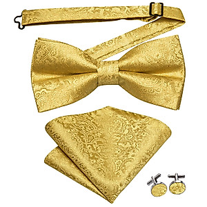 Dubulle Mens Pre-tied Bowtie and Pocket Square Set Paisley/Striped/Checks Bowties for Men,A Gold