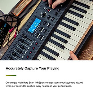 Novation Impulse 61 Keys USB bus-powered MIDI Controller Keyboard – Robust, ultra-responsive, full-size piano keyboard with aftertouch and velocity-sensitive pads – works on Mac or Windows