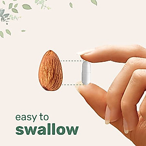 Plant Based L Tyrosine Pills, 1000mg Per Serving, 240 Capsules, Premium Tyrosine Pre Workout Supplement, Supports Mental Alertness Neurotransmitter, Non-GMO and Easy to Swallow