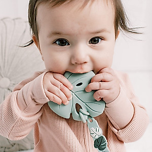 Loulou Lollipop Silicone Teether for Teething Baby Boy and Girl - Monstera Seafoam