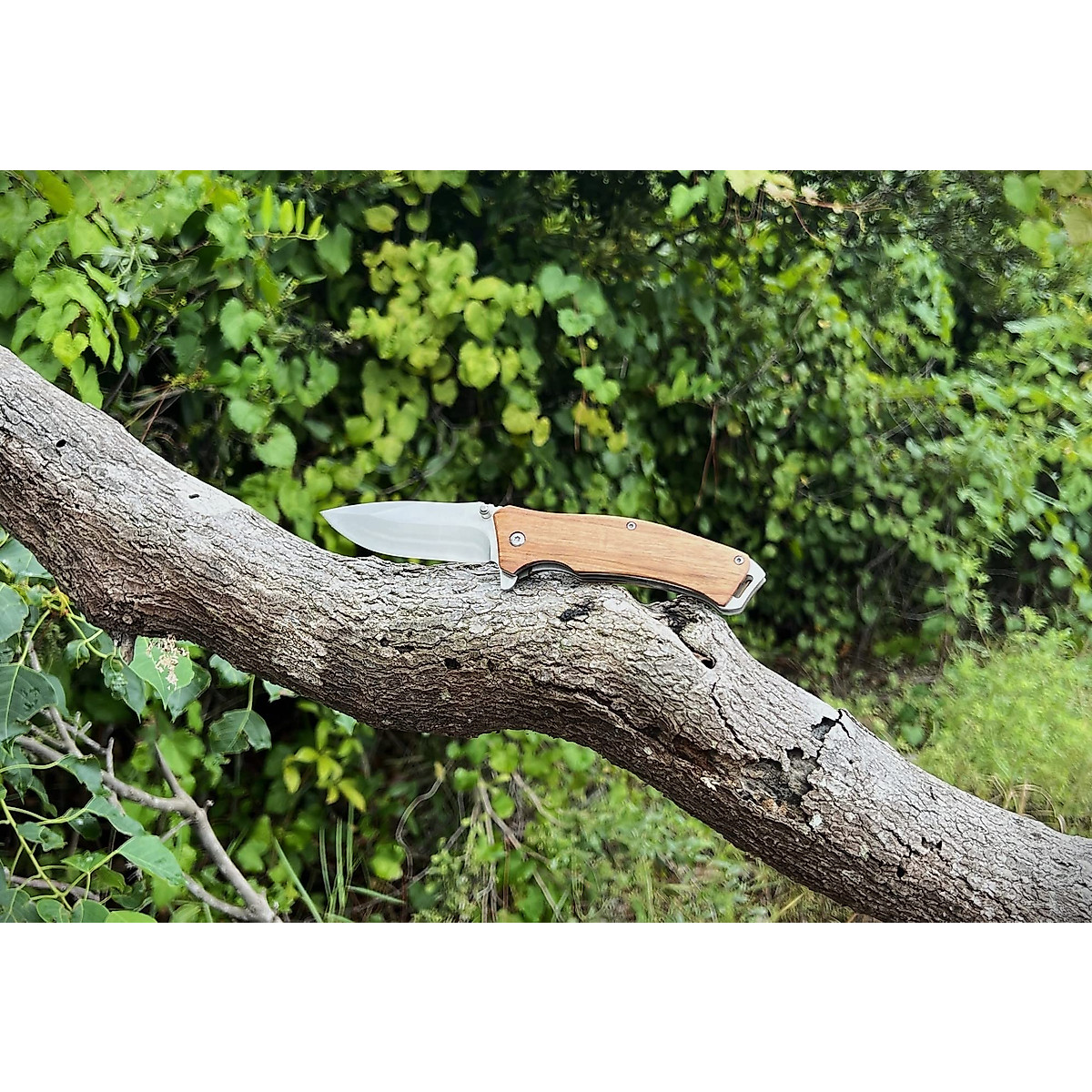 Tropas Folding Pocket Knife - EDC 3Cr13 Stainless Steel Blade with Wood Handle