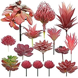 Cayway 15 PCS Artificial Succulent Plants, Red Fake Succulent, Unpotted Faux Succulent Assortment in Flocked Purpl in Different Type for Birthday Home Decor Indoor Wall Garden DIY