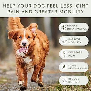Pure Dogs Hip & Joint Supplement for Large Breed & Small Breed - Dog Joint Pain Relief Chews for Function & Mobility - Glucosamine Chondroitin for Dogs Gut & Digestive Support - 90 Dog Joint Chews