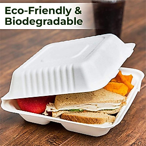 Urth Pak 9 inch” Biodegradable Take-Out Food Containers - Pack of 100 - Compostable TO-GO Boxes with Built-In Hinged Lid - Sustainable Material, To Go Boxes for Food, Clamshell Food containers, 9x9