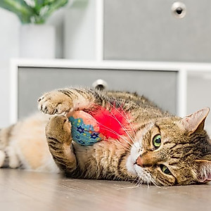 Huxley & Kent 2-Pack Plush Cat Toys | Jelly Roll & Meowchewitz | Hanukkah Holiday Strong Catnip Filled Cat Toy | Plush Kitten and Cat Toy with Catnip and Crinkle | Kittybelles