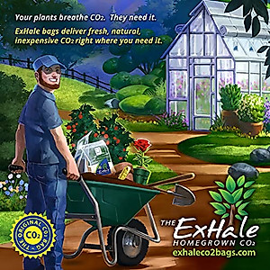 ExHale Homegrown CO2 365 - Self-Activated Bag for Grow Rooms & Tents - Great for Indoor Grow Rooms - CO2 for Grow Tents - 4lbs.