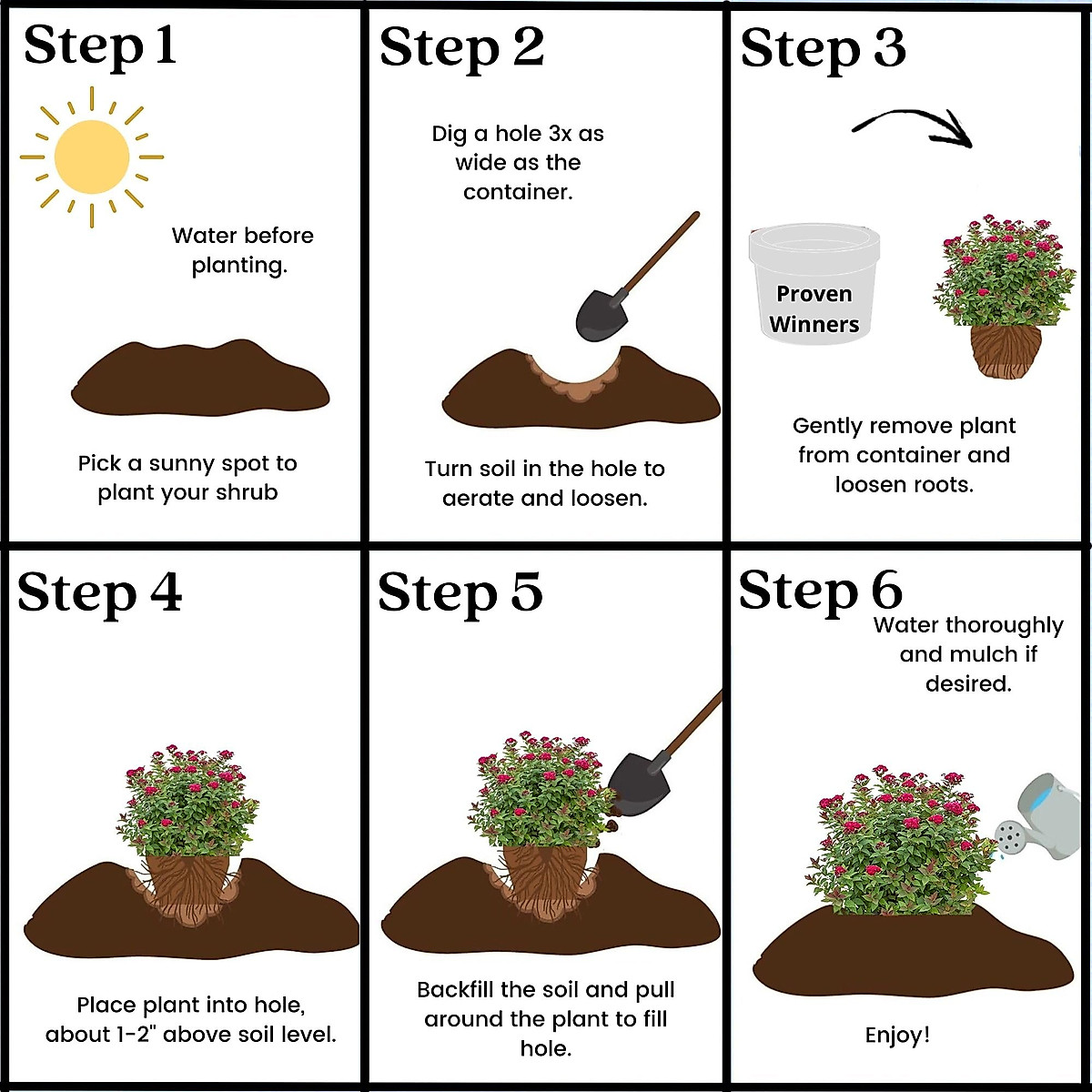Proven Winner Double Play Doozie Spirea, 2 Gal, Red to Purple Flowers