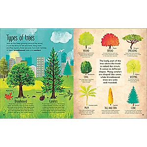 The Magic and Mystery of Trees (The Magic and Mystery of the Natural World)