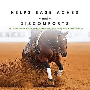 Manna Pro Cetyl-M Joint Supplement for Horses - Powered by Omega 5 Fatty Acids - 11.2 lb