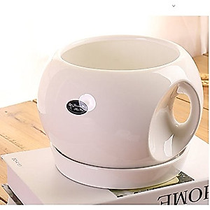 Ceramic Home/Garden Modern Flower Planter Pot with Saucer/Tray - Classic Round Shape Fashion Creative Design with Handle Color White