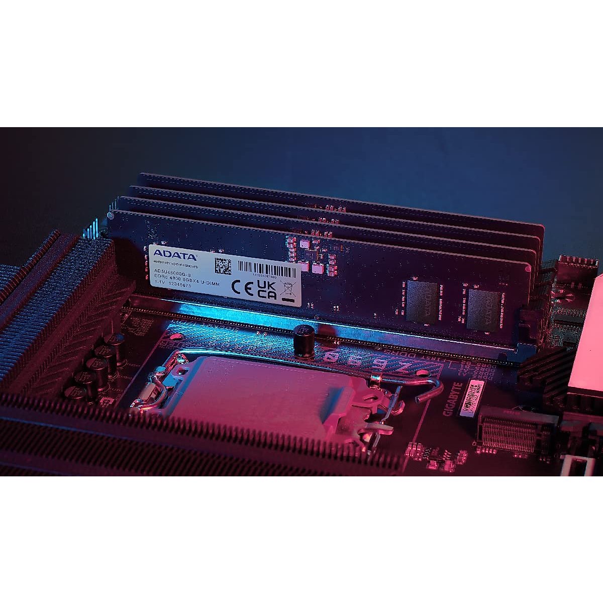 ADATA Premier DDR5 4800MHz 16GB UDIMM Memory RAM Module Single (AD5U480016G-S)