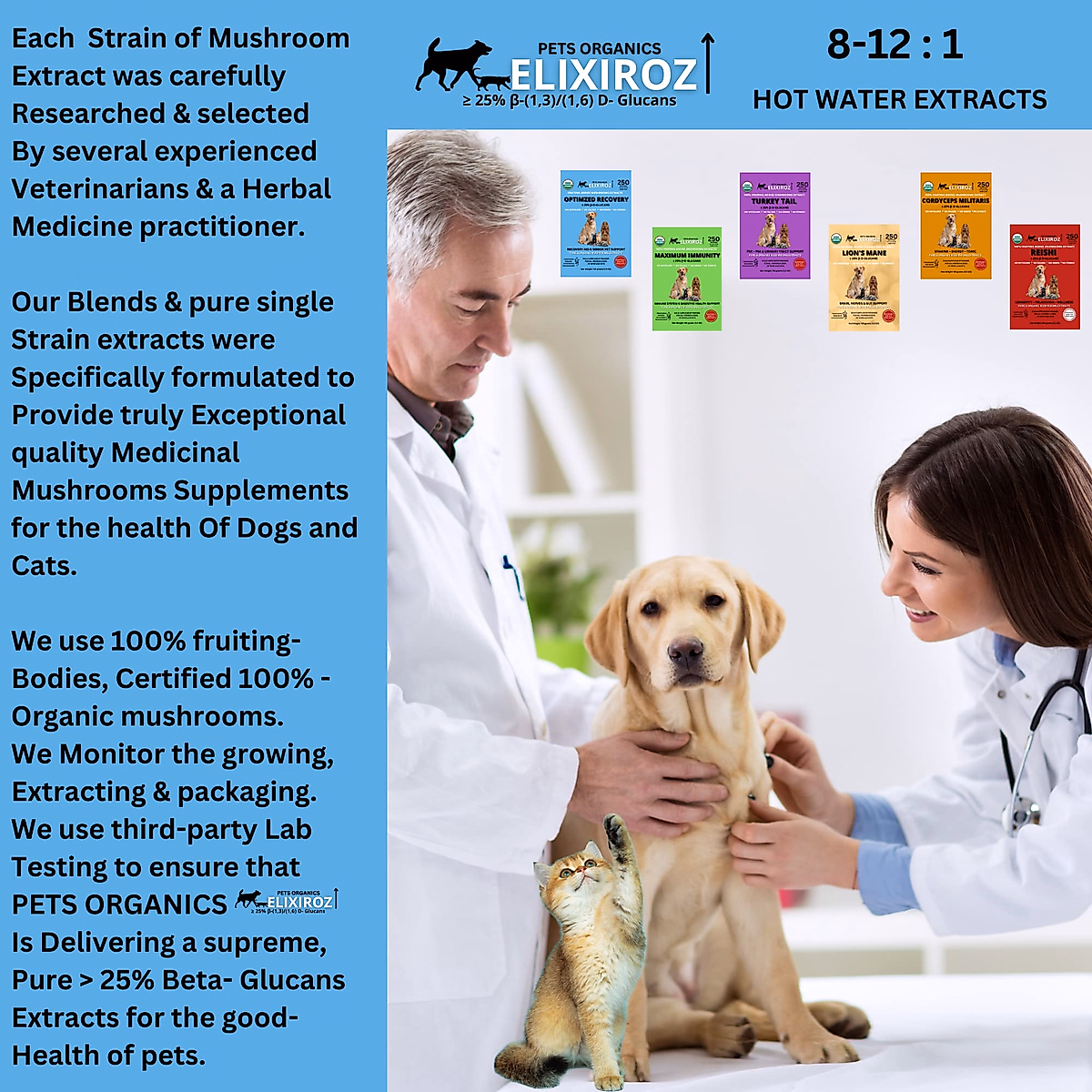 OPTIMIZED RECOVERY Lion's Mane & Cordyceps >25% & >35% β-glucans 100% Mushrooms Fruiting bodies Extracts Blend for Dogs & Cats. Recovery Aid, Healing & Senior Pet Health Formula. 250 SERVINGS for 25lb