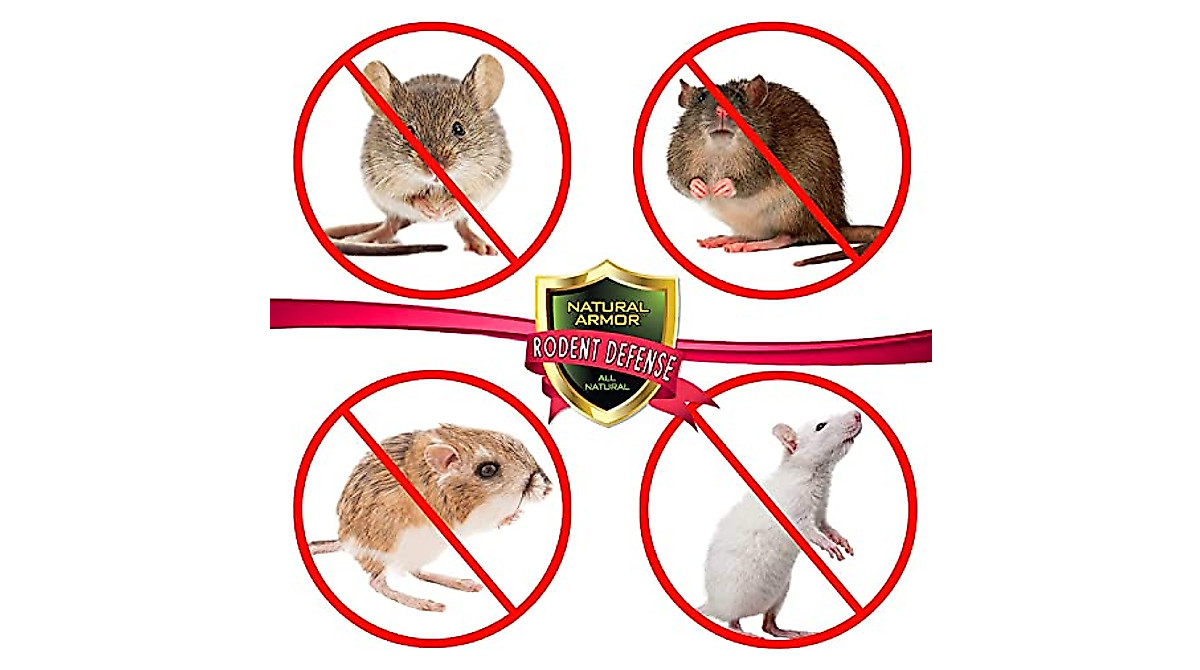 Natural Armor Peppermint Rodent Repellent - Safe Indoor & Outdoor Solution
