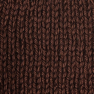 Caron Simply Soft Solids Yarn, 6oz, Gauge 4 Medium, 100% Acrylic, Chocolate - Machine Wash & Dry (H970039750)