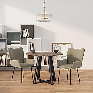 vidaXL Modern Velvet Dining Chairs, Set of 2, Light Gray, Comfortable Foam Padding, Durable Metal and Plywood Construction, Easy Clean