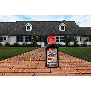 Spectracide Weed and Grass Killer with Extended Control Concentrate, 32 Ounces, with Accumeasure System (Case of 6)