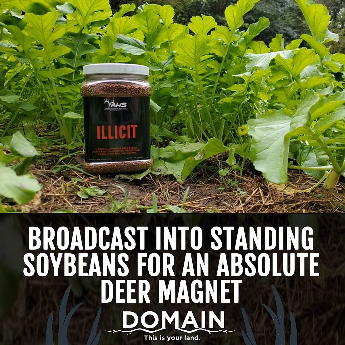 Domain Outdoor Illicit Food Plot Seeds, Fast Growing Variety of Deer Radish, Perfect Seed for Spring, Summer or Fall, Leafy Greens, Sugar-Filled Tap Root, Up to 8 Tons of Forage Per Acre, 1/2 Acre