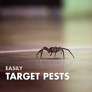 Spectracide Bug Stop Home Barrier Spray, Kills Ants, Roaches and Spiders On Contact, Indoor and Outdoor Insect Control, 1 Gallon