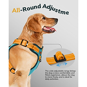 MIDOG Dog Harness, No-Pull Pet Harness and Leash Set for Small Medium Large Dogs Walking, No Choke Front Clip Dog Reflective Harness, Adjustable Soft Padded Pet Vest with Easy Control Handle (Blue,XL)