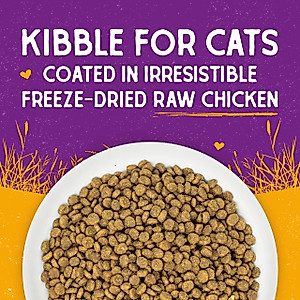 Stella & Chewy's Raw Coated Premium Kibble Cat Food – Grain Free, Protein Rich Meals – Cage-Free Chicken Recipe – 10 lb. Bag