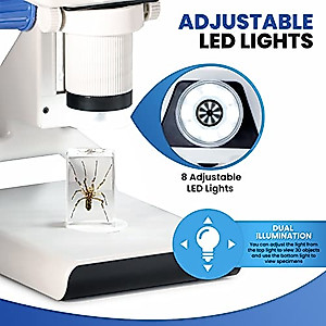 AmScope - 4.3 inch Premium 1080P HD Portable LCD Digital Color Microscope with Dual-LED Illumination - DM140