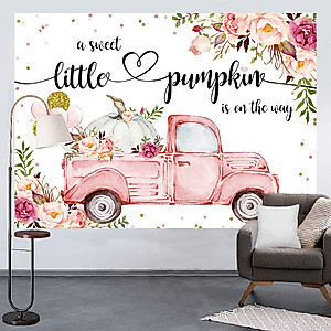 Lofaris Little Pumpkin Girl Baby Shower Photography Backdrops Props Fall Autumn Pink Floral Princess Baby Shower Party Decoration Car Gold Balloon Flowers Photo Studio Booth Background Banner 7x5ft