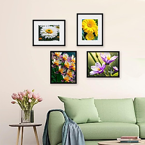 Fixwal 11x14 Picture Frame in Black, Display Pictures 8x10 with Mat or 11x14 Without Mat, Plastic Frame，Photo Frame for Wall or Tabletop Display
