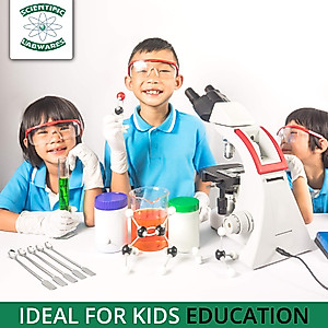 Scientific Labwares Laboratory Spoon Spatula Set - Long Handled Mixing & Measuring Equipment - Supplies for Labs, Sampling, Sculpting, Stirring, Making Makeup - Durable Stainless Steel - Set of 12