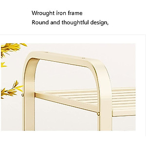 ANIIC Shoe Rack 3-Tier Metal Shoe Rack Storage Organizer Free Standing Shoe Racks Standing for Entryway Hallway Living Room Bedroom Shoe Organizer