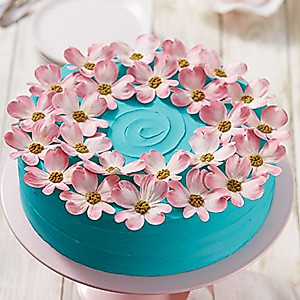 Wilton Decorator Preferred 10 x 3-inch Aluminum Round Cake Pan, Aluminum