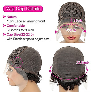 BAIHONG 6 inch Lace Front Pixie Cut Wig With Short Curly Human Hair - 13X1 HD Lace, Plucked and Bleached Knots - For Black Women