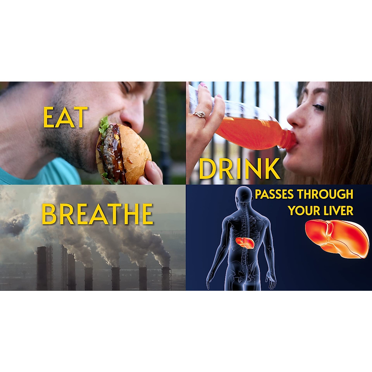 Liverite Liver Aid With Milk Thistle 150 Capsules, Liver Support, Liver Cleanse, Liver Care, Improves Energy