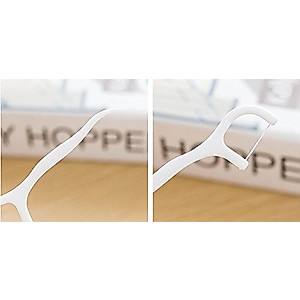VNDEFUL 100Pcs(5 Packets ) White Dental Floss Picks Toothpicks Stick Oral Care