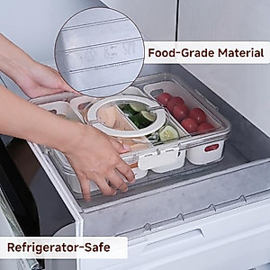 Shulgf Divided Snack Tray with Lid - 4-Compartment Travel Snack Container, Ideal for Beach, Picnics, Veggie Tray, and Snack Organizer for Fruits and Nuts