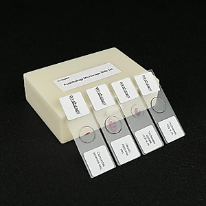 Prepared Parasitology Microscope Slide Set, Excellent 30pcs Slides Resource for Instruction at The College Level (Parasitology)