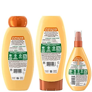 Garnier Whole Blends Honey Treasures Repairing Shampoo, Conditioner + Miracle Nectar Leave-In Set for Dry, Damaged Hair (3 Items), 1 Kit (Packaging May Vary)