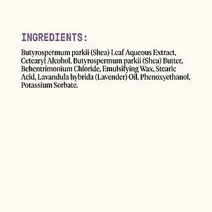 Alaffia EveryDay Shea Conditioner - Normal to Very Dry Hair, Moisturizing Support to Balance pH for Protected, Luxurious Locks with Shea Leaf and Butter, Fair Trade, Lavender, 16 Fl Oz