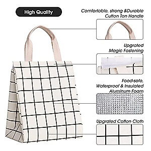 HOMESPON Reusable Lunch Bag Insulated Lunch Box Canvas Fabric with Aluminum Foil, Lunch Tote Handbag for Women,Men,Office (White Plaid)